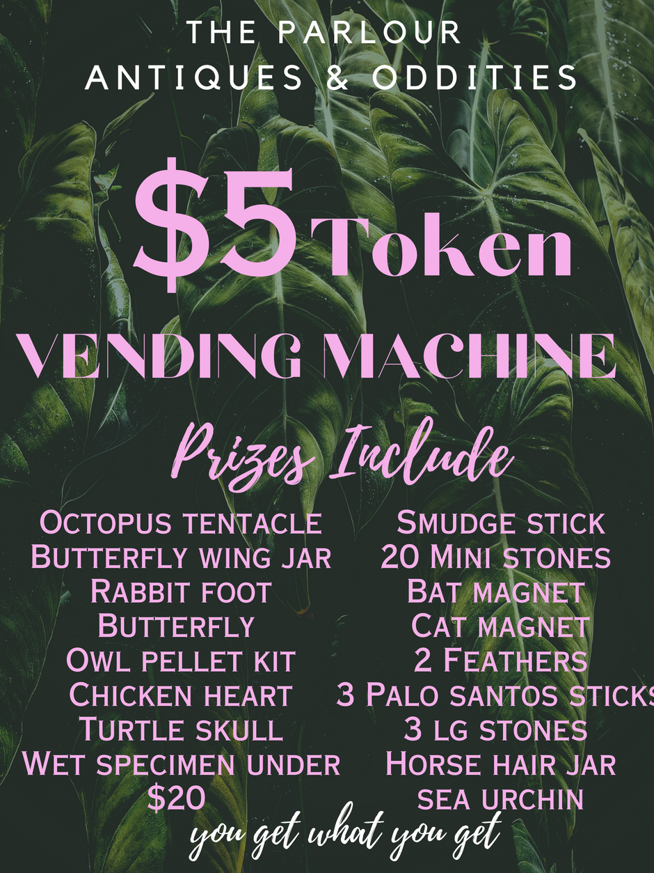 The parlour antiques & oddities – The Parlour Antiques & Oddities